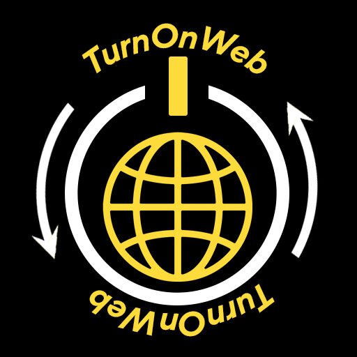 About » TurnOnWeb - Web Development Company